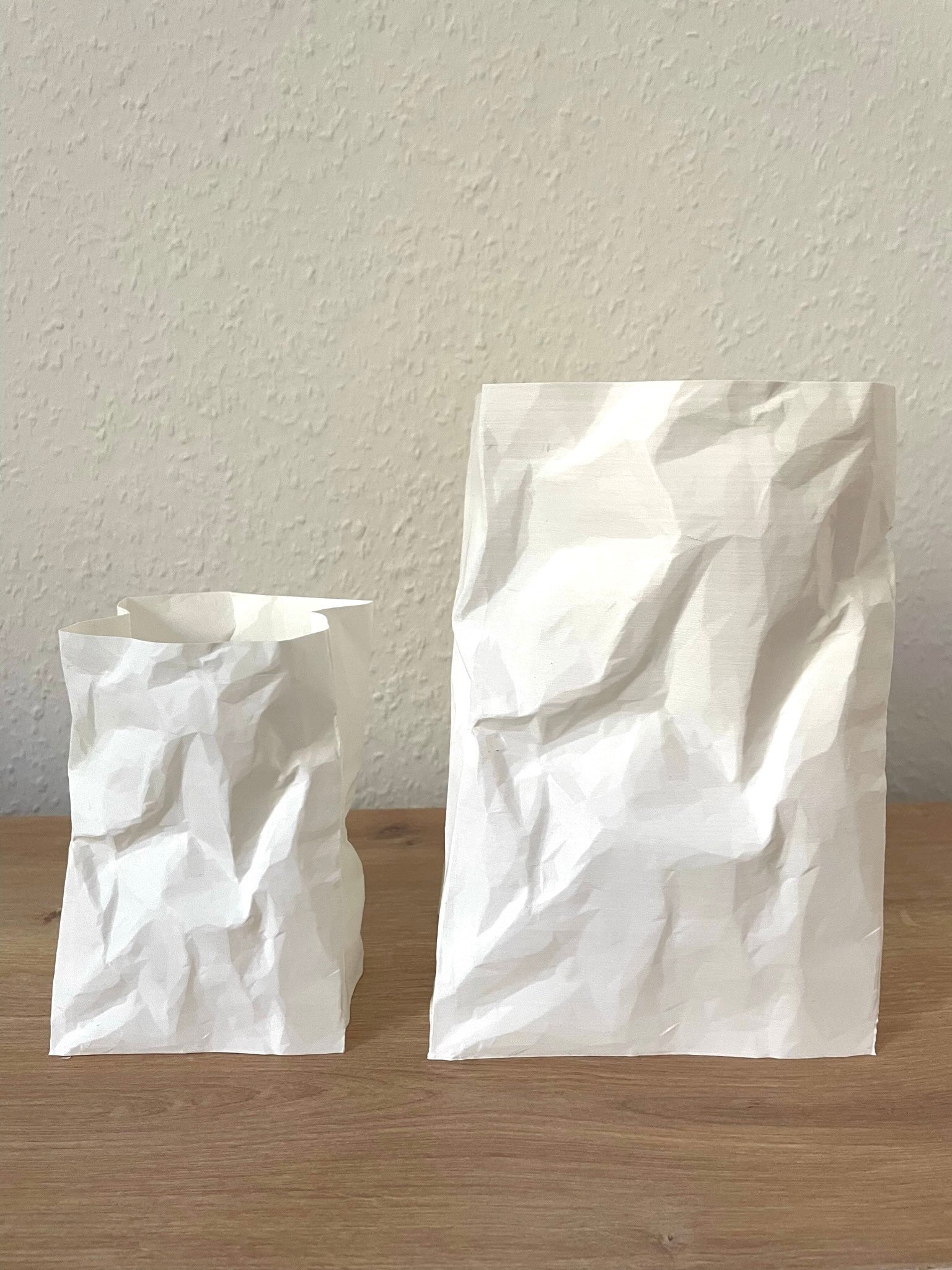 Crumpled Paper Bag