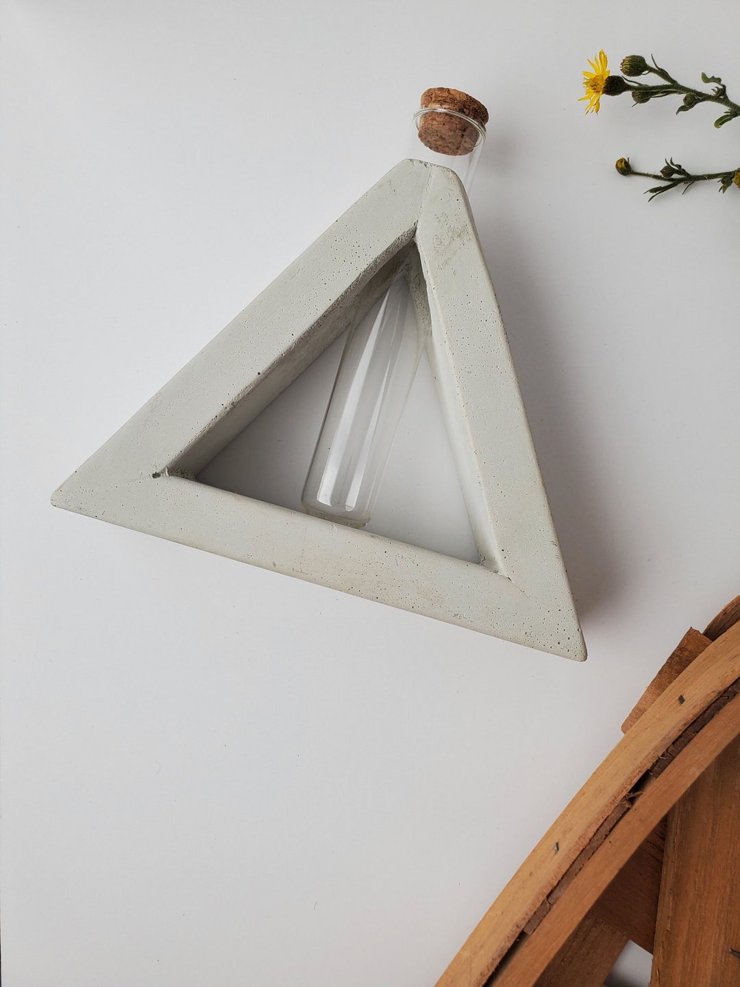 Concrete Plant Propagation | Triangle Concrete Vase | Cement ...