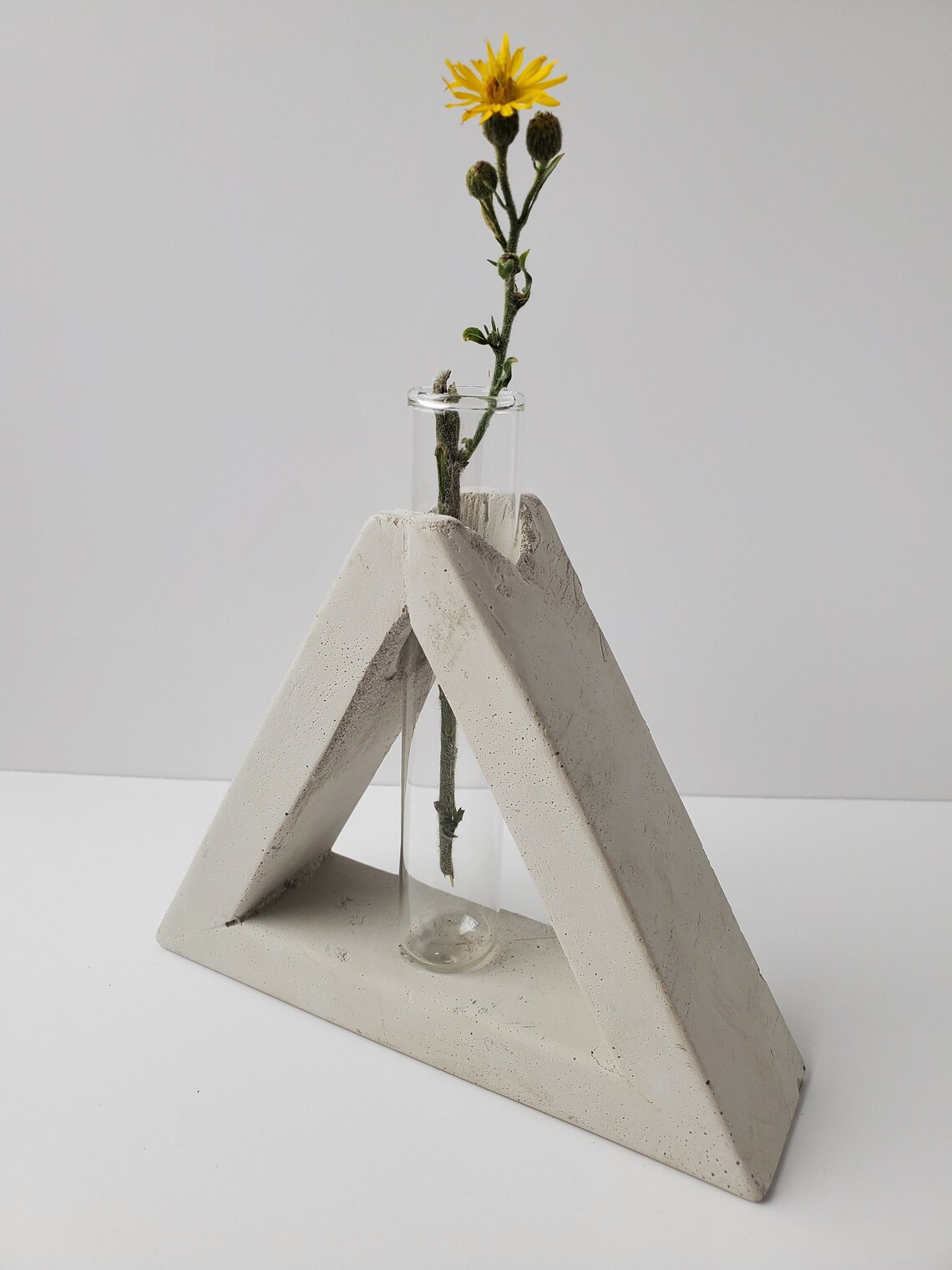 Concrete Plant Propagation | Triangle Concrete Vase | Cement ...
