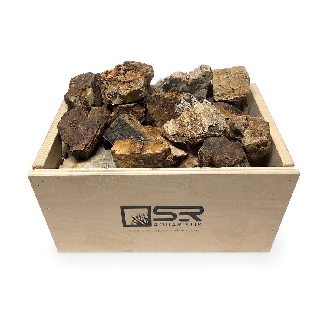 SR Aquaristik Petrified Wood Stone - Etsy