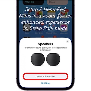 HomePod Mini Speaker Ceiling Mount - Etsy