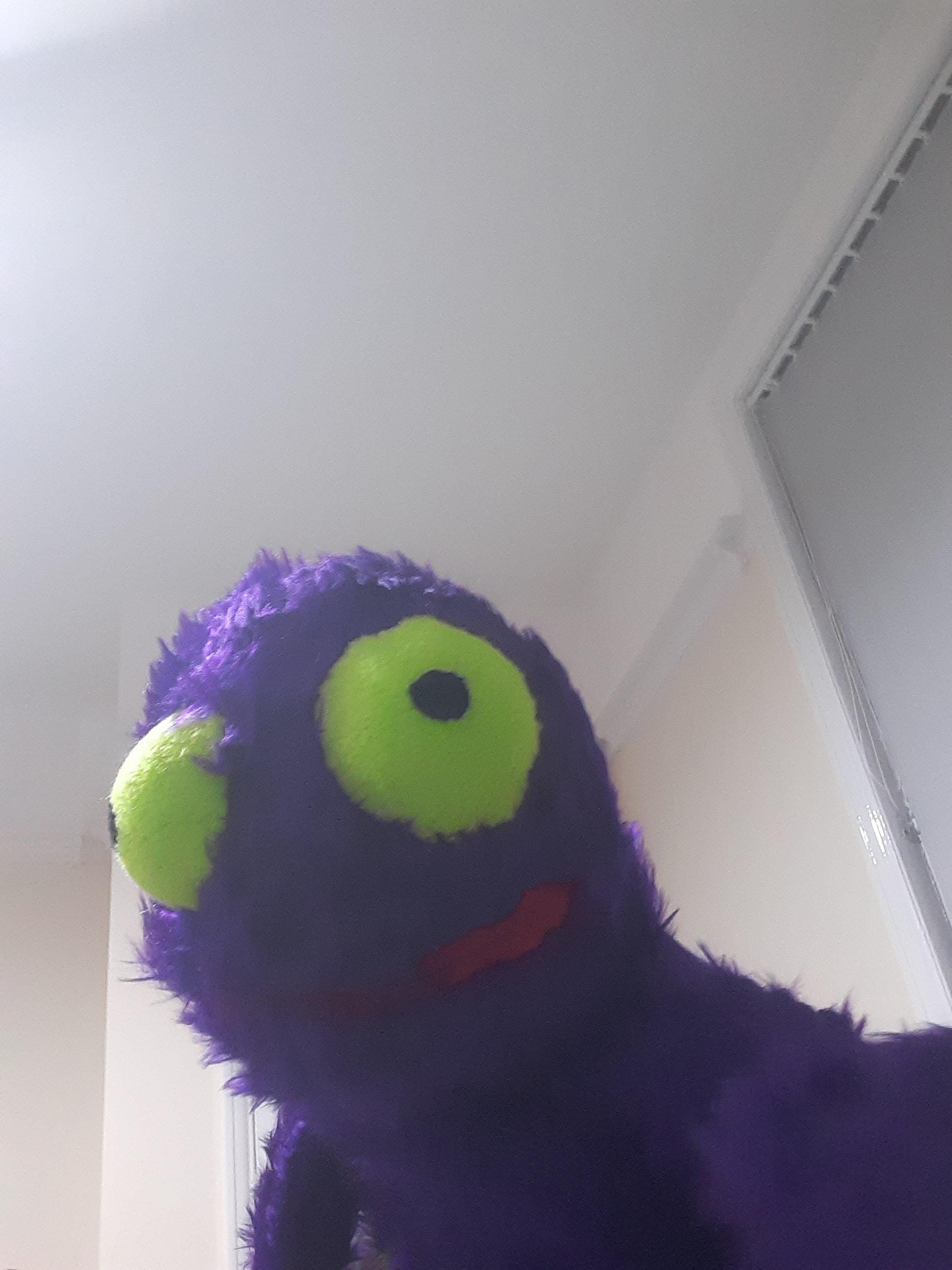 Live-hand Puppet - Etsy