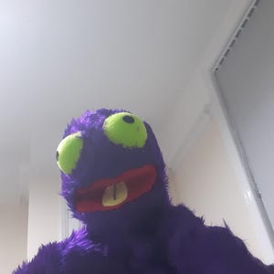 Live-hand Puppet - Etsy