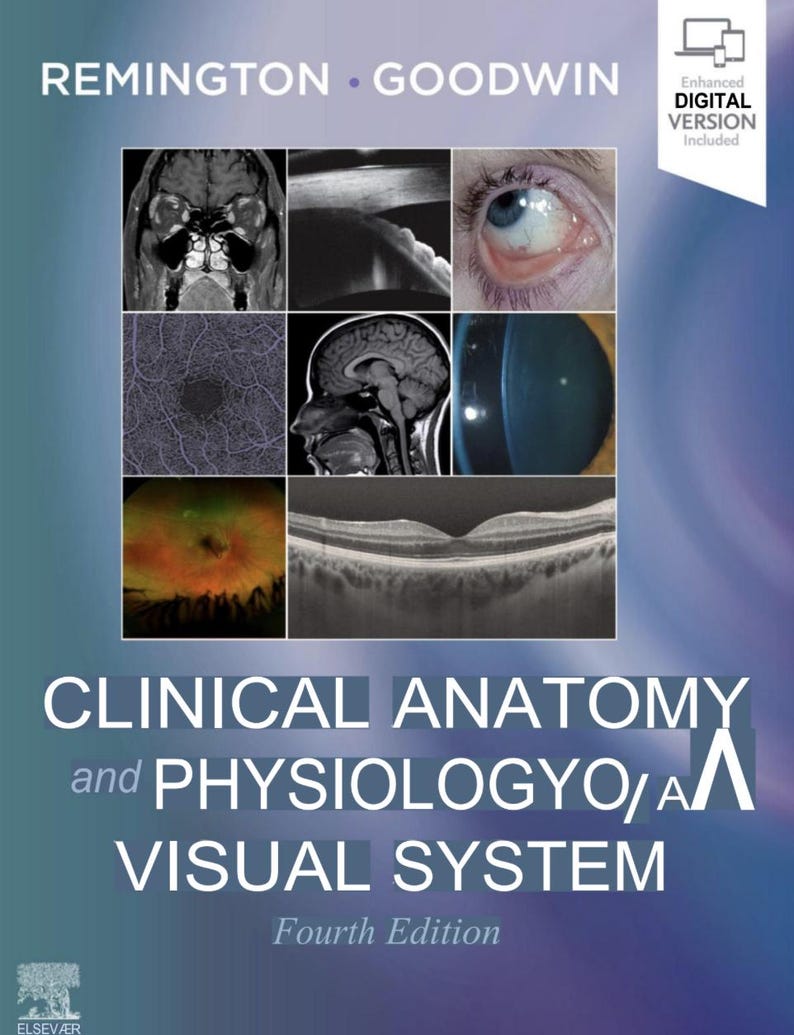 Clinical Anatomy & Physiology of the Visual System PRINTABLE PDF - Etsy