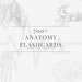 700+ MCAT Anatomy Flashcards Printable PDF - Etsy