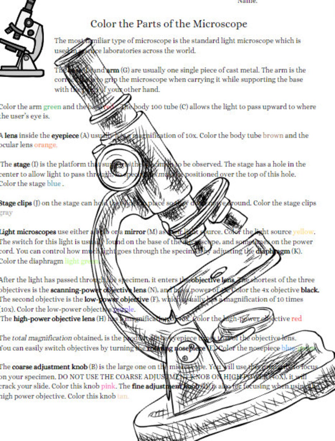 Biology Microscopic Coloring Activity & Review Activity - Etsy