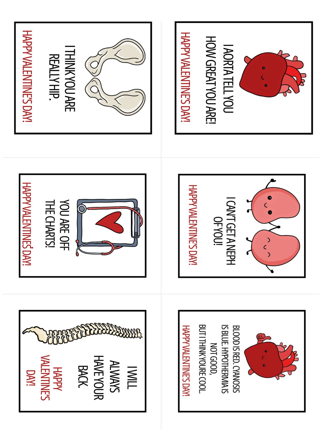6 Large Anatomy Valentines Day Card Digital PDF (heart, Spine, Nephrons ...