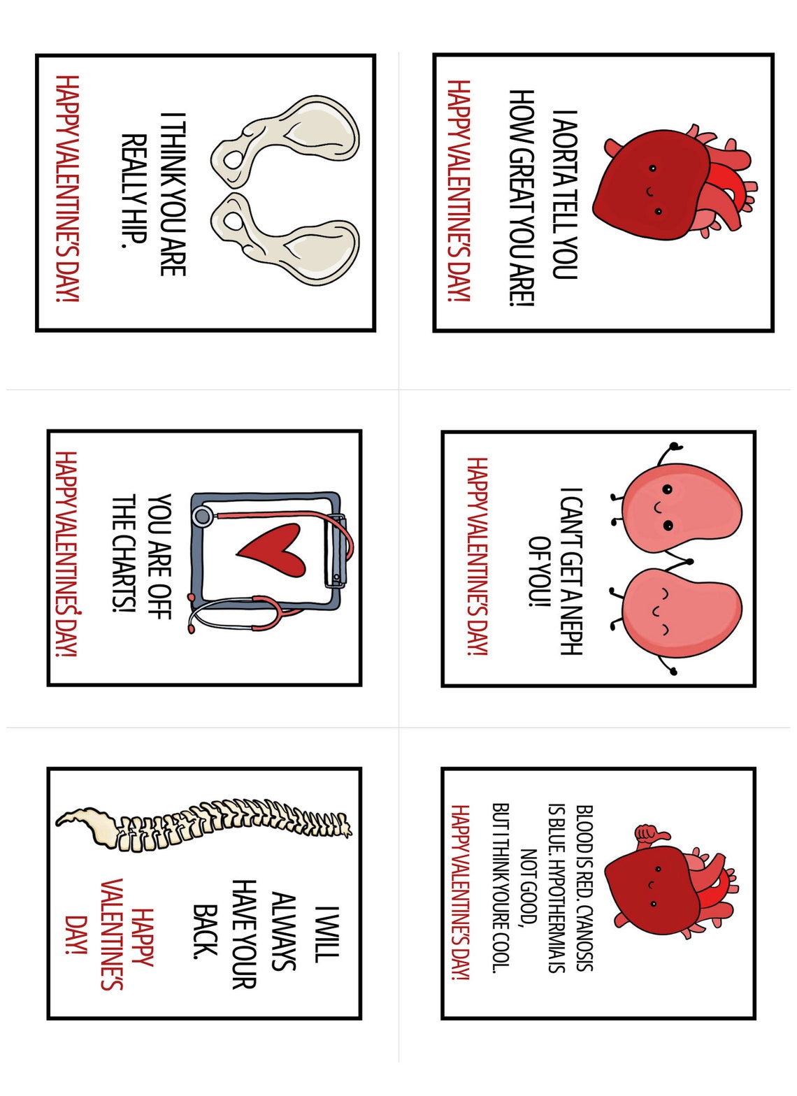 6 Large Anatomy Valentines Day Card Digital PDF (heart, Spine, Nephrons ...