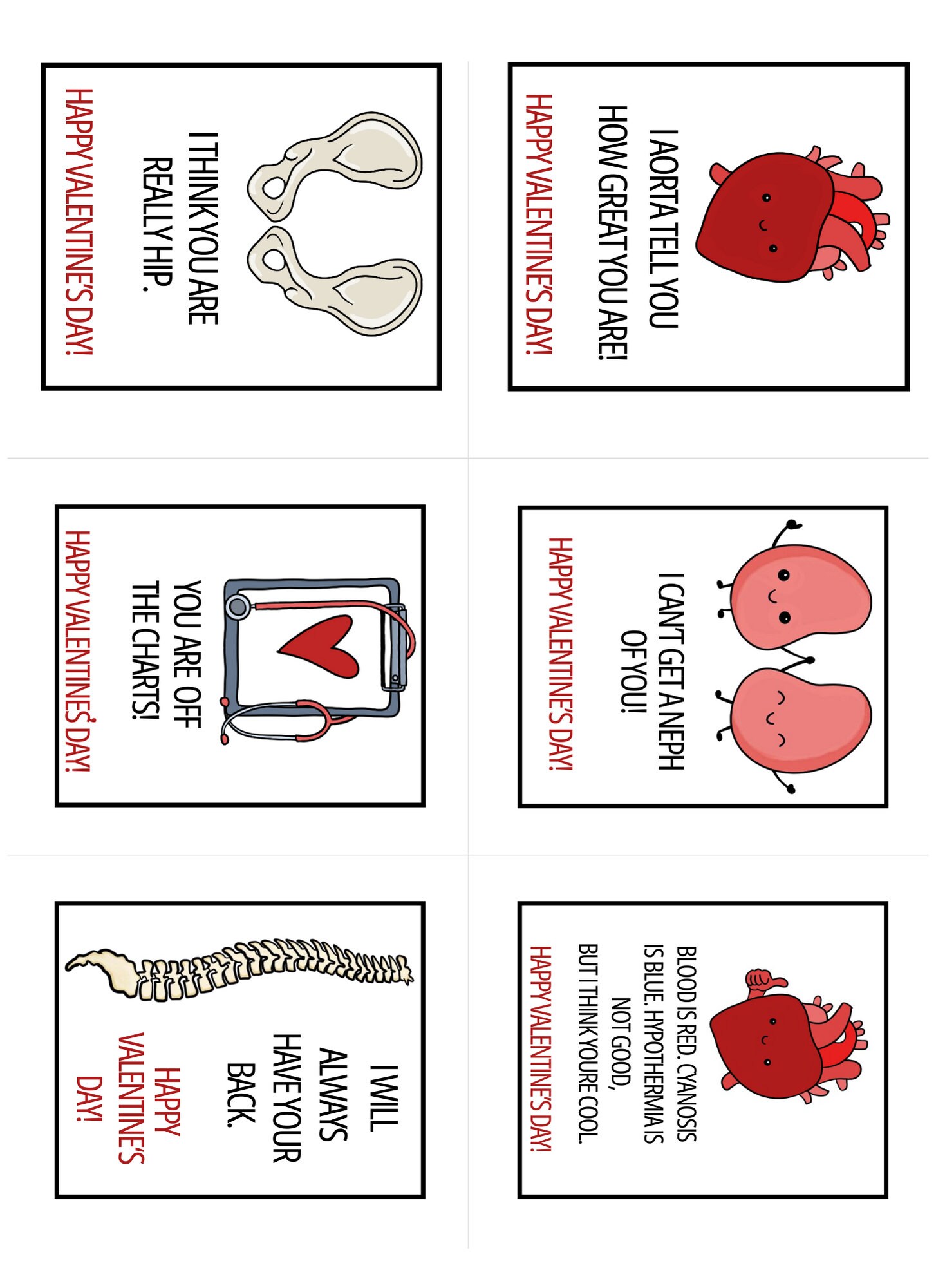6 Large Anatomy Valentines Day Card Digital PDF (heart, Spine, Nephrons ...