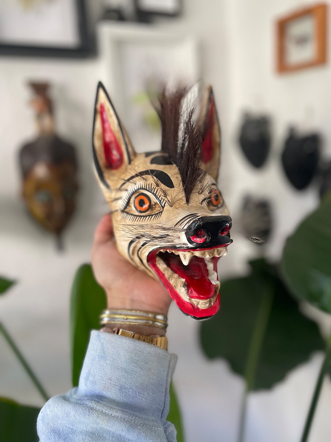 Mexican Wild Dog Jackal Mask With Horse Hair and Boar - Etsy