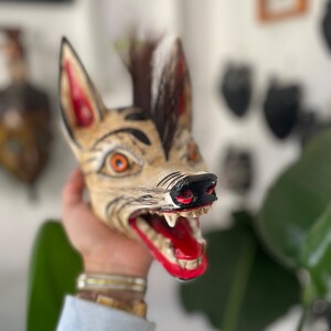 Mexican Wild Dog Jackal Mask With Horse Hair and Boar - Etsy