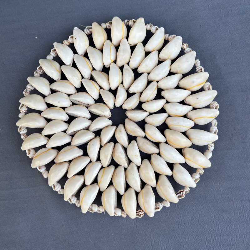 Seashell Coasters - Etsy