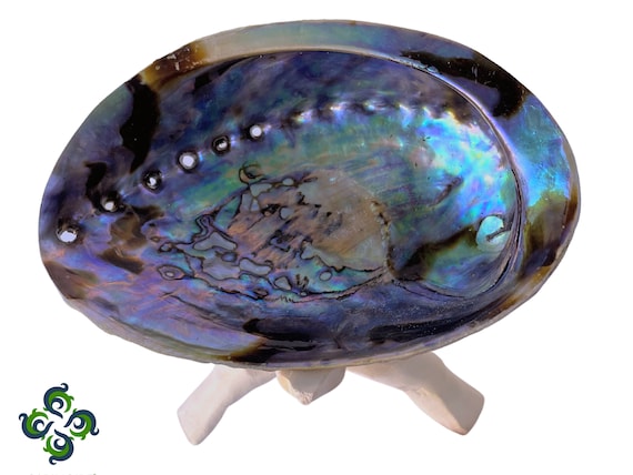 Abalone Shell With Stand Seashell Incense Burner for Holding - Etsy