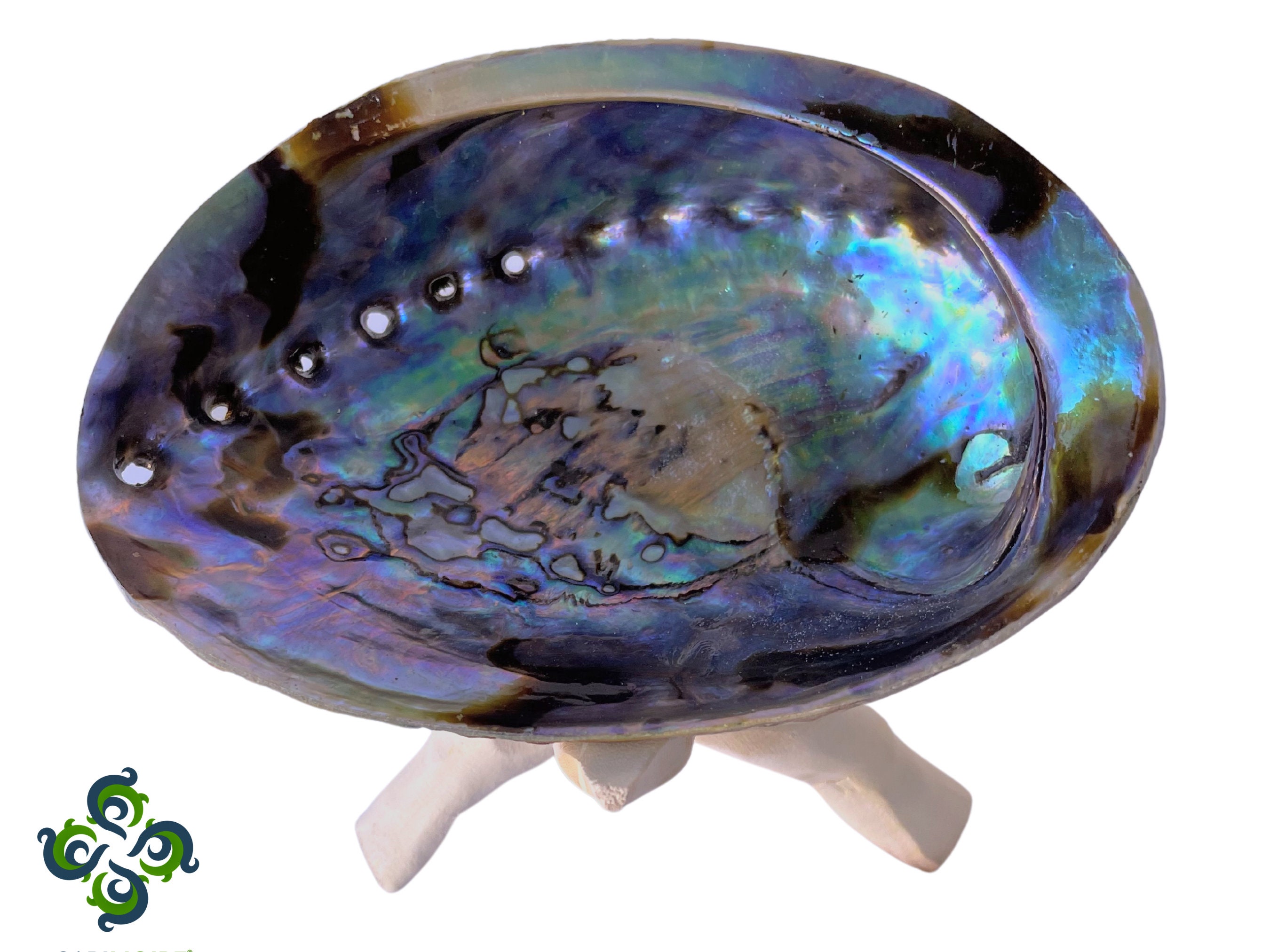Abalone Shell With Stand Seashell Incense Burner for Holding - Etsy