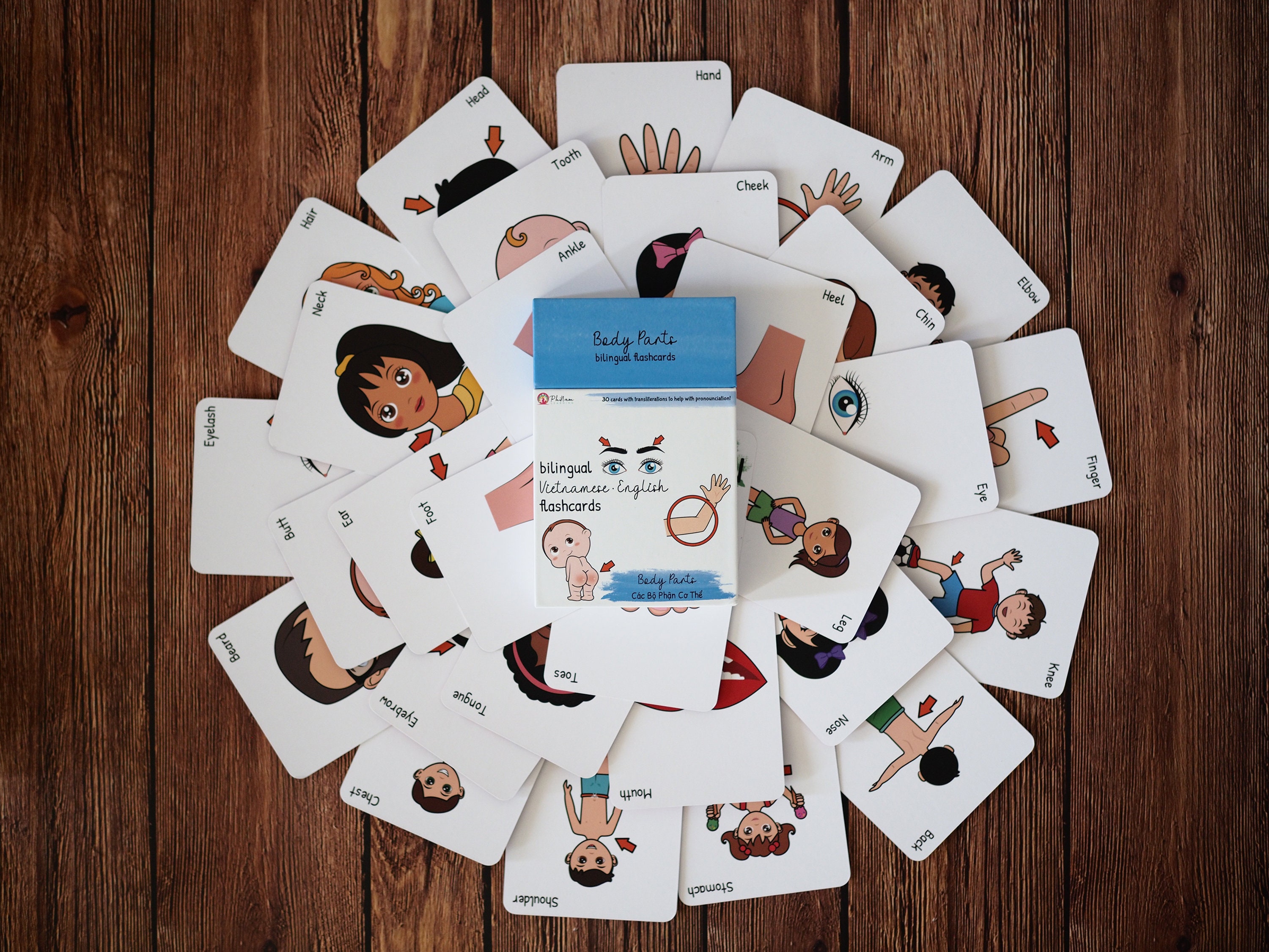 Bilingual (body Parts) Vietnamese English Cards, Flashcards, Bilingual ...