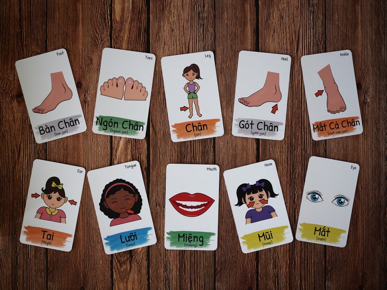 Bilingual (body Parts) Vietnamese English Cards, Flashcards, Bilingual ...