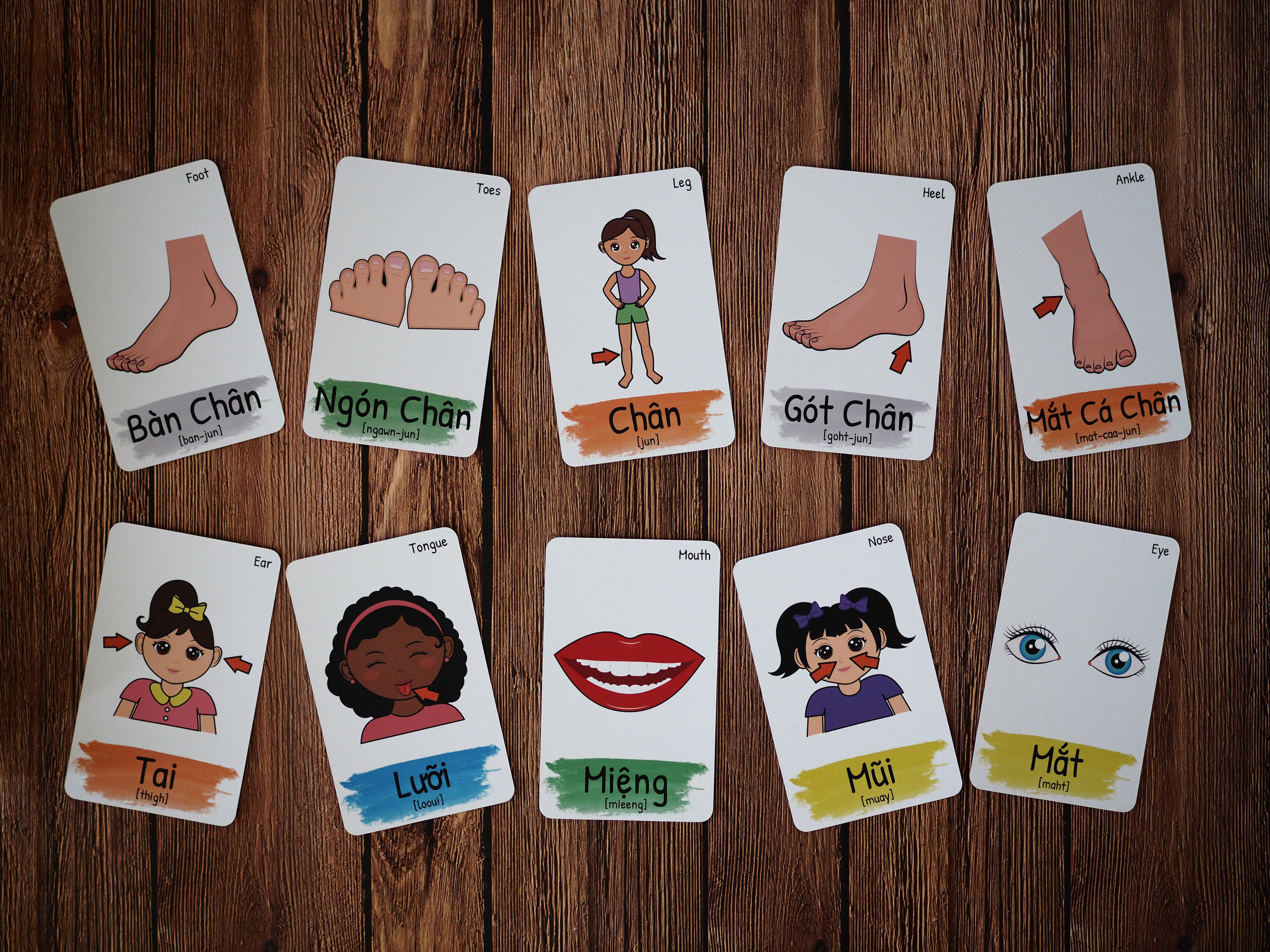 Bilingual (body Parts) Vietnamese English Cards, Flashcards, Bilingual ...