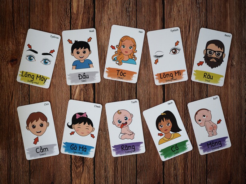 Bilingual (body Parts) Vietnamese English Cards, Flashcards, Bilingual ...