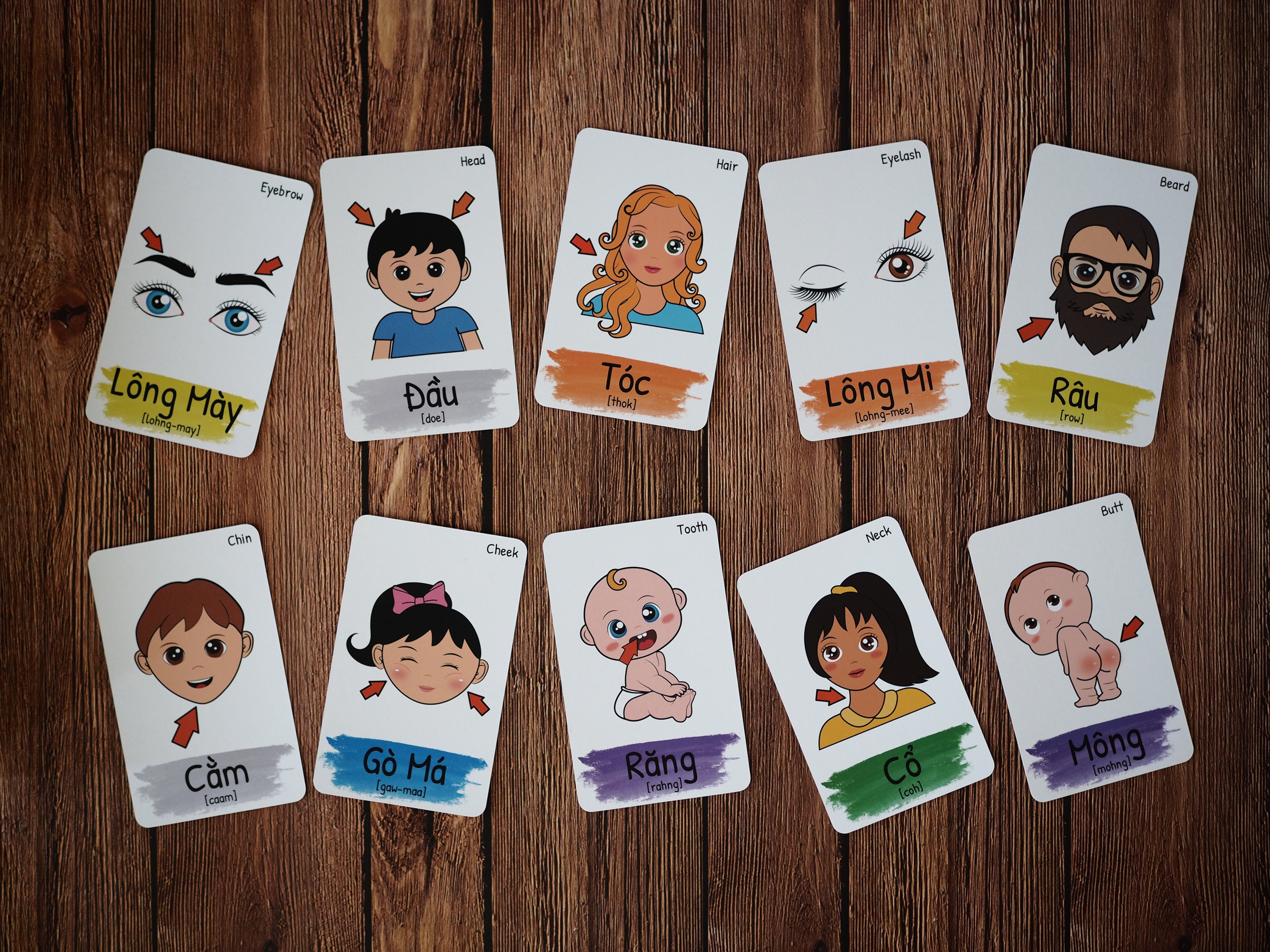 Bilingual (body Parts) Vietnamese English Cards, Flashcards, Bilingual ...