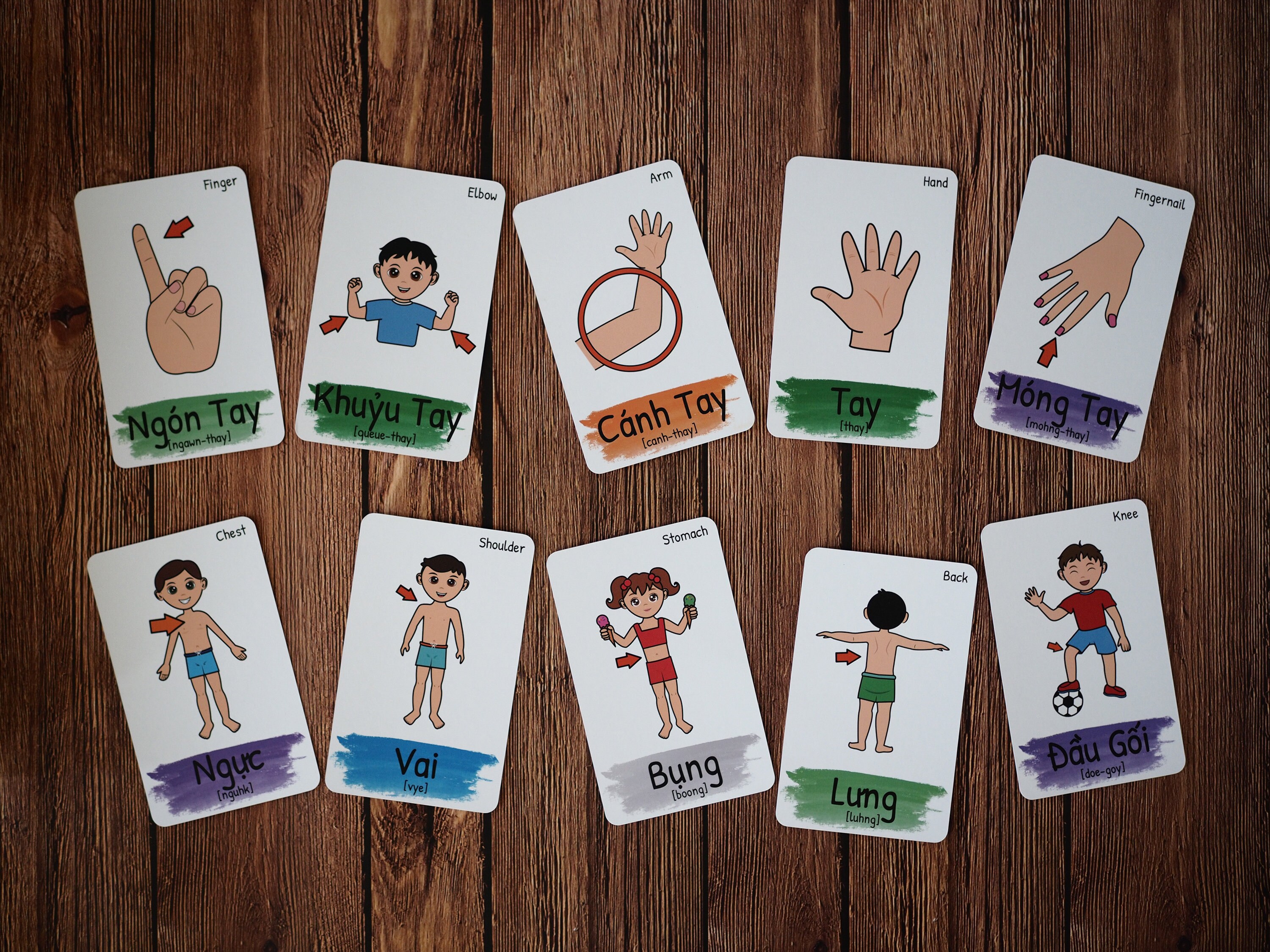 Bilingual (body Parts) Vietnamese English Cards, Flashcards, Bilingual ...