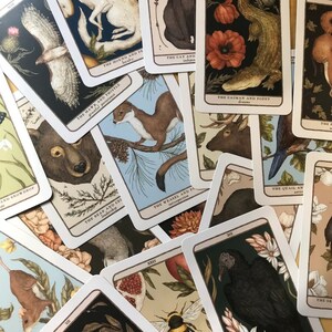 Woodland Wardens: A 52-card Oracle Deck & Guidebook Woodland - Etsy
