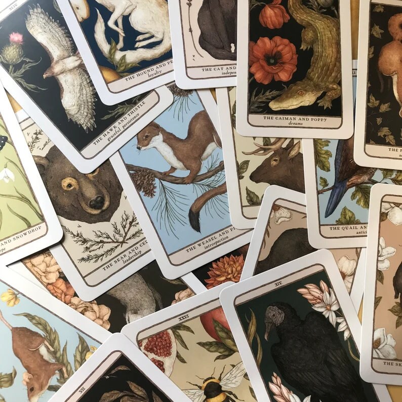 Woodland Wardens: A 52-card Oracle Deck & Guidebook Woodland - Etsy
