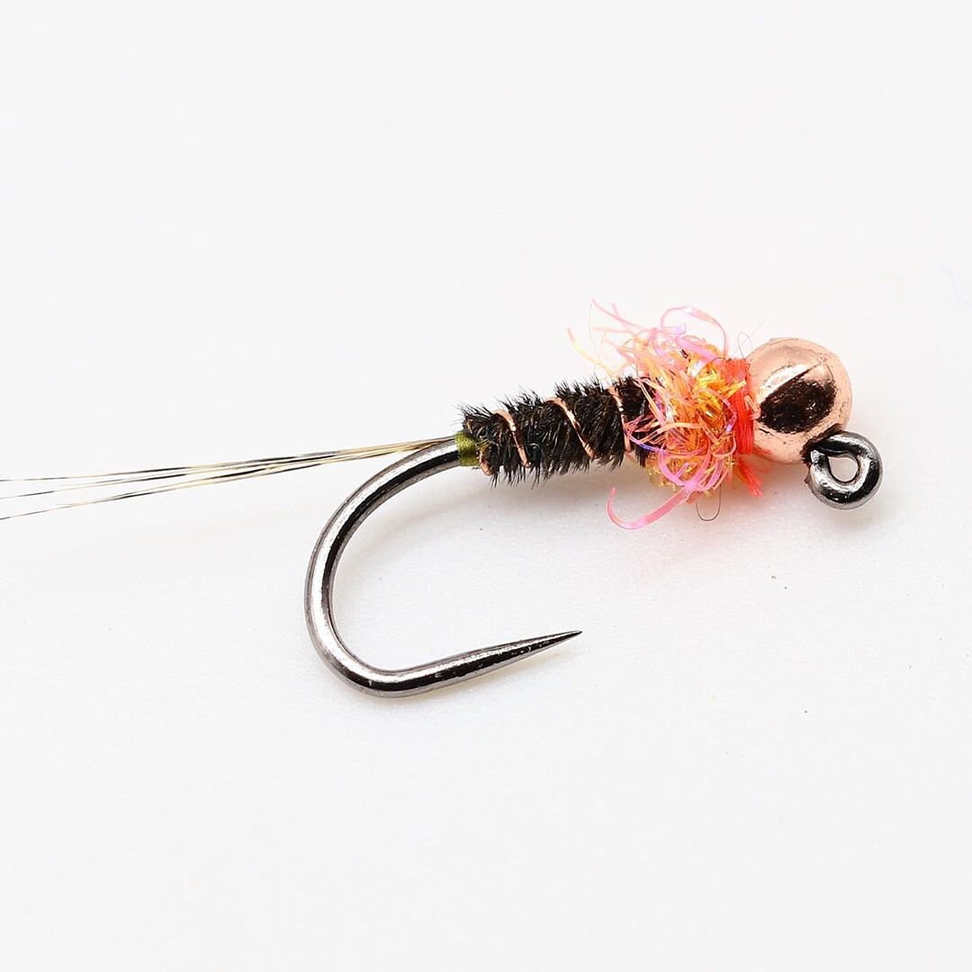 3x Melanistic Frenchie Nymph With Double Hot Spot - Etsy