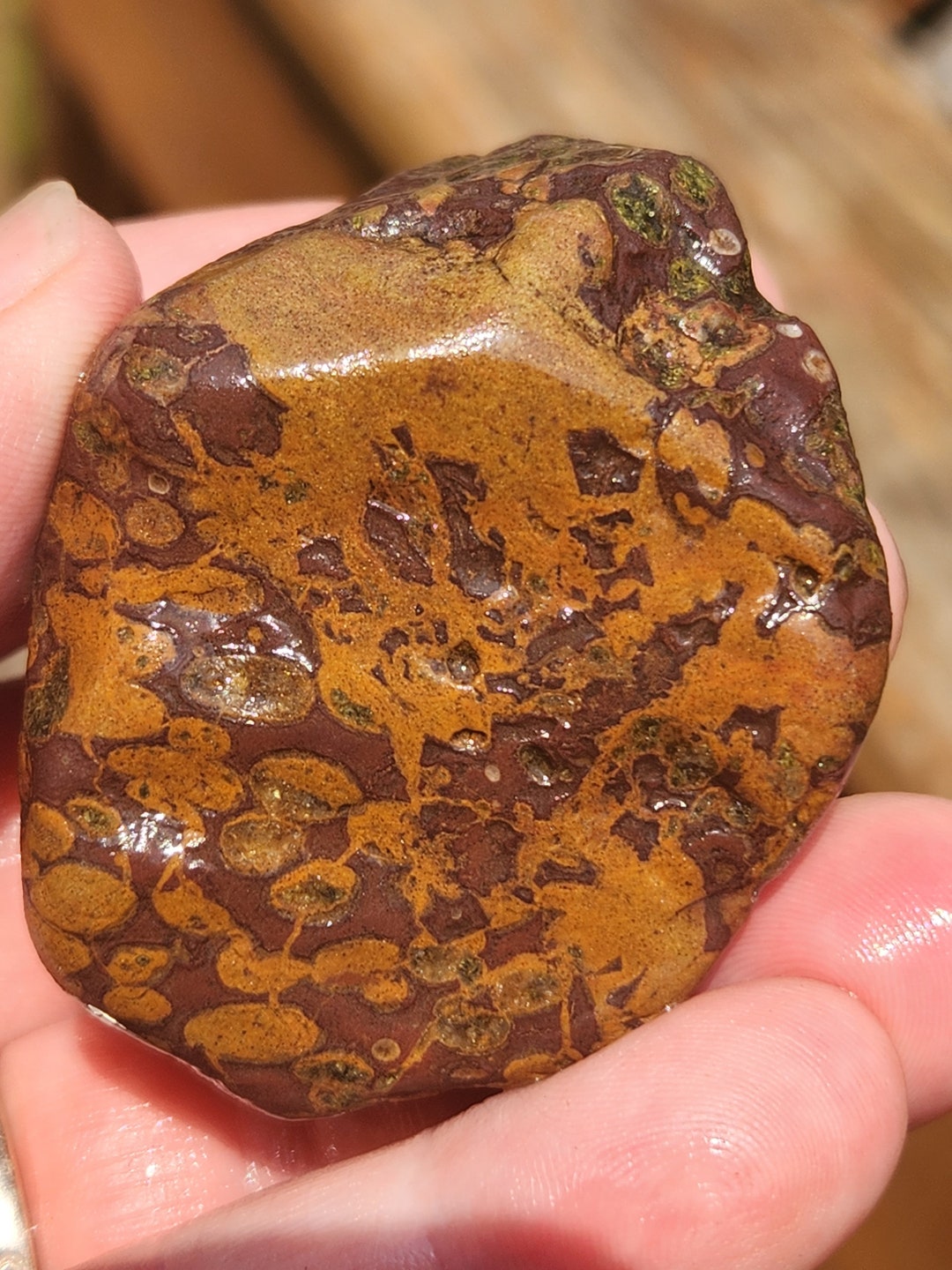 Jasper, Basalt and Epidote Sprays Rough Stone 3.2 Oz. - Etsy