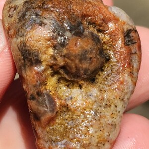 Unique Rare Sagenite Spray Inclusions Lake Superior Agate Raw Rough ...