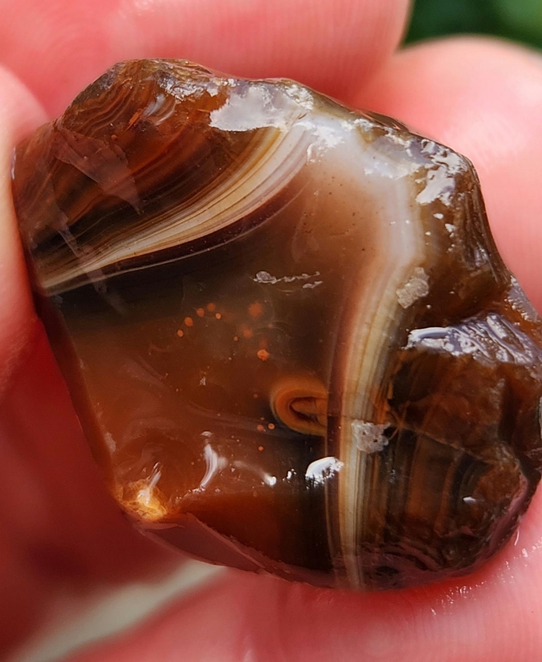 Minnesota's State Gemstone, Lake Superior Agate, .5 Oz. Rough - Etsy