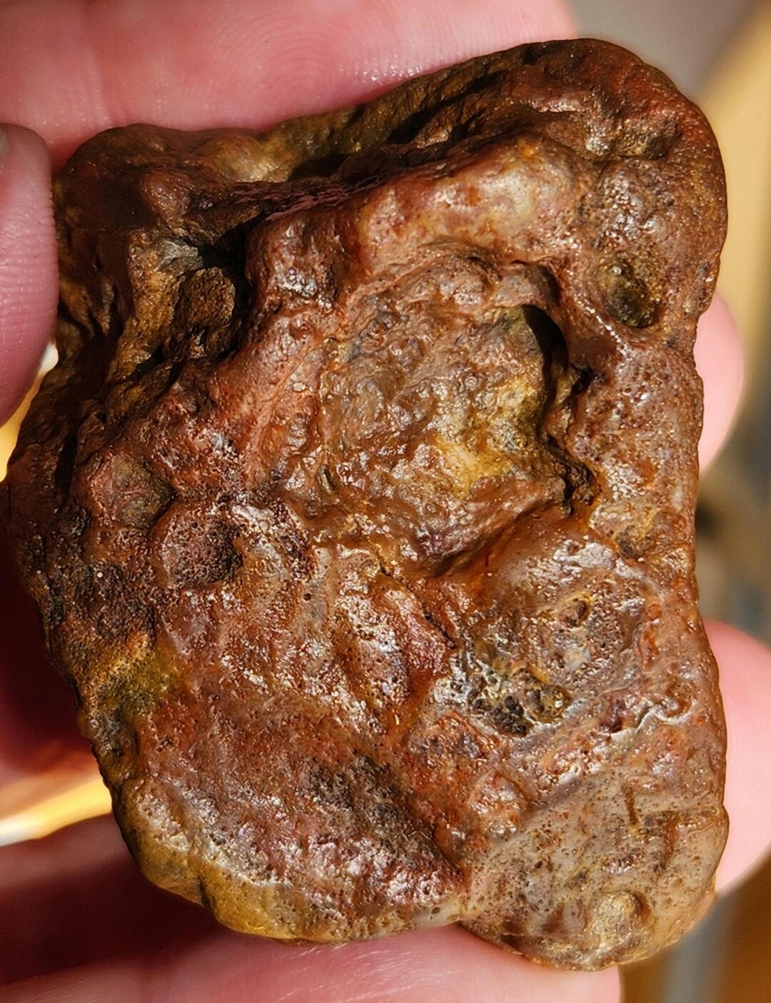 Minnesota's State Gemstone Full Nodule Lake Superior Agate Rough Gem 1. ...