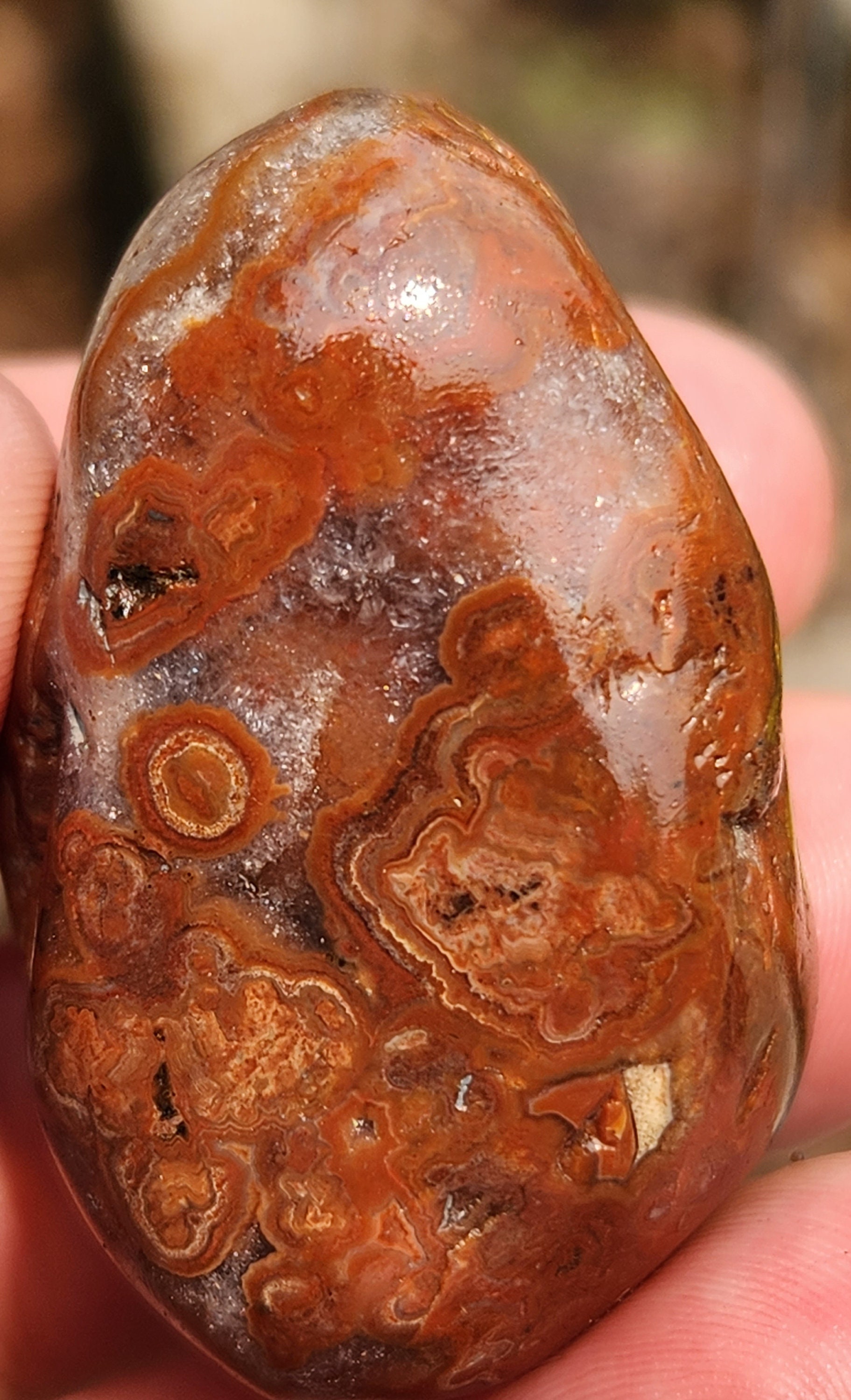 Lake Superior Eye Agates