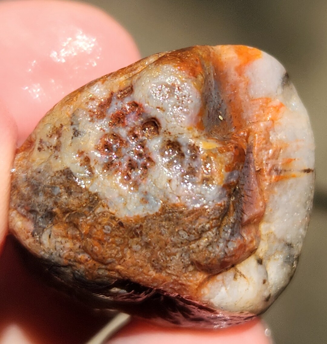 Unique Rare Sagenite Spray Inclusions Lake Superior Agate Raw Rough ...