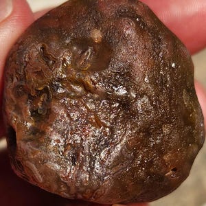 Exposed Tubes Water Washed Lake Superior Agate 2.5 OZ. Rough From ...