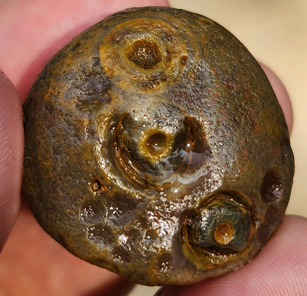 Ventifacts Eye Agate Full Nodule Uncut and Unpolished Lake Superior ...