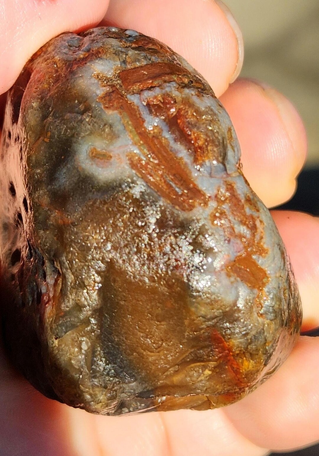 Sagenite Lake Superior Agate With Dark Amethyst Inside Minnesota ...
