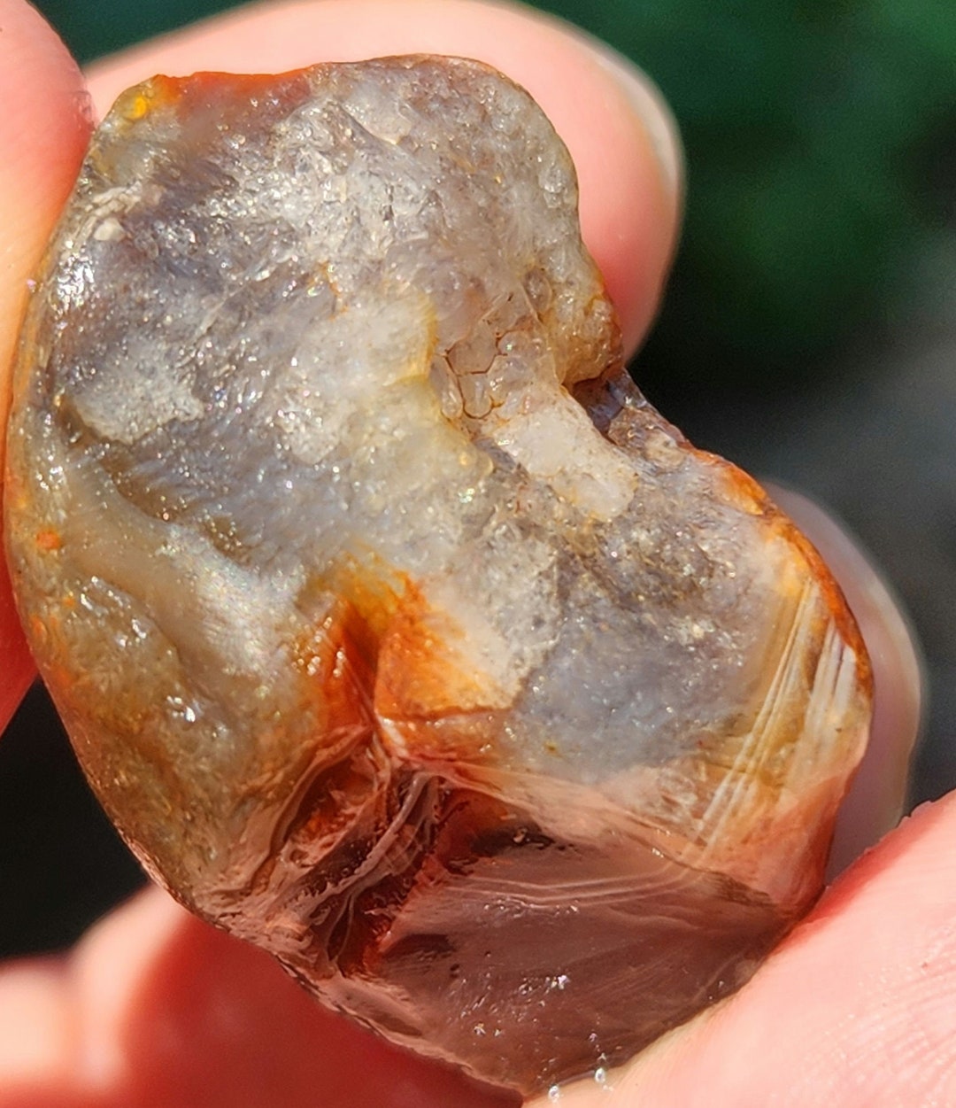 Minnesota's State Gemstone, Lake Superior Agate, .7 Oz. Rough - Etsy