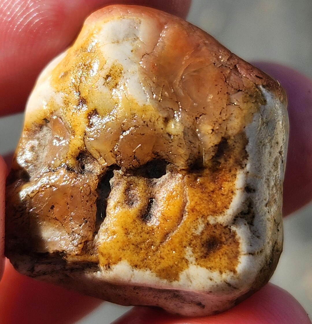 Tan Lake Superior Agate With a Carnelian Eye! Minnesota Gemstone .6 Oz ...