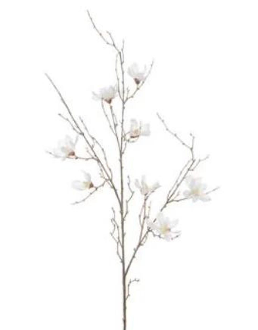 White Mini Magnolia Spray - Etsy