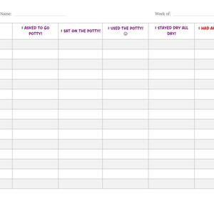Toilet Training Tracker Spreadsheet printable & Editable - Etsy