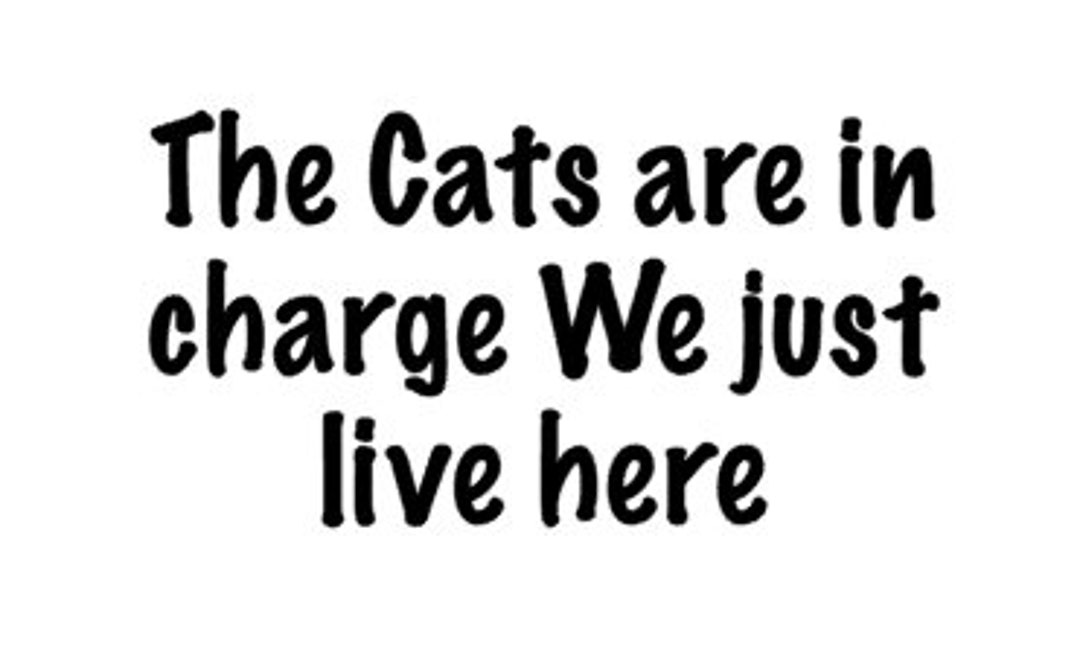 Cats in Charge Sticker - Etsy