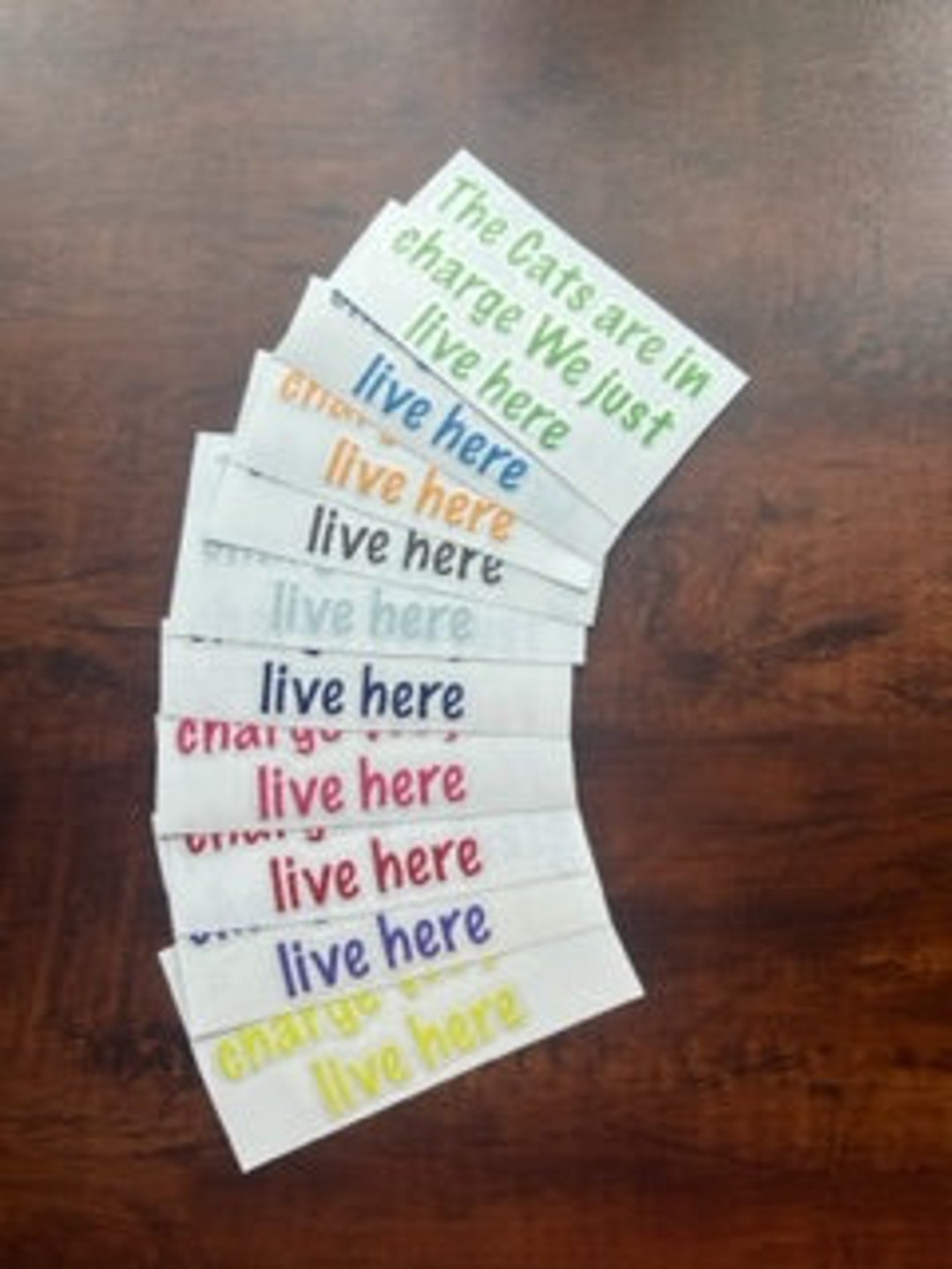 Cats in Charge Sticker - Etsy