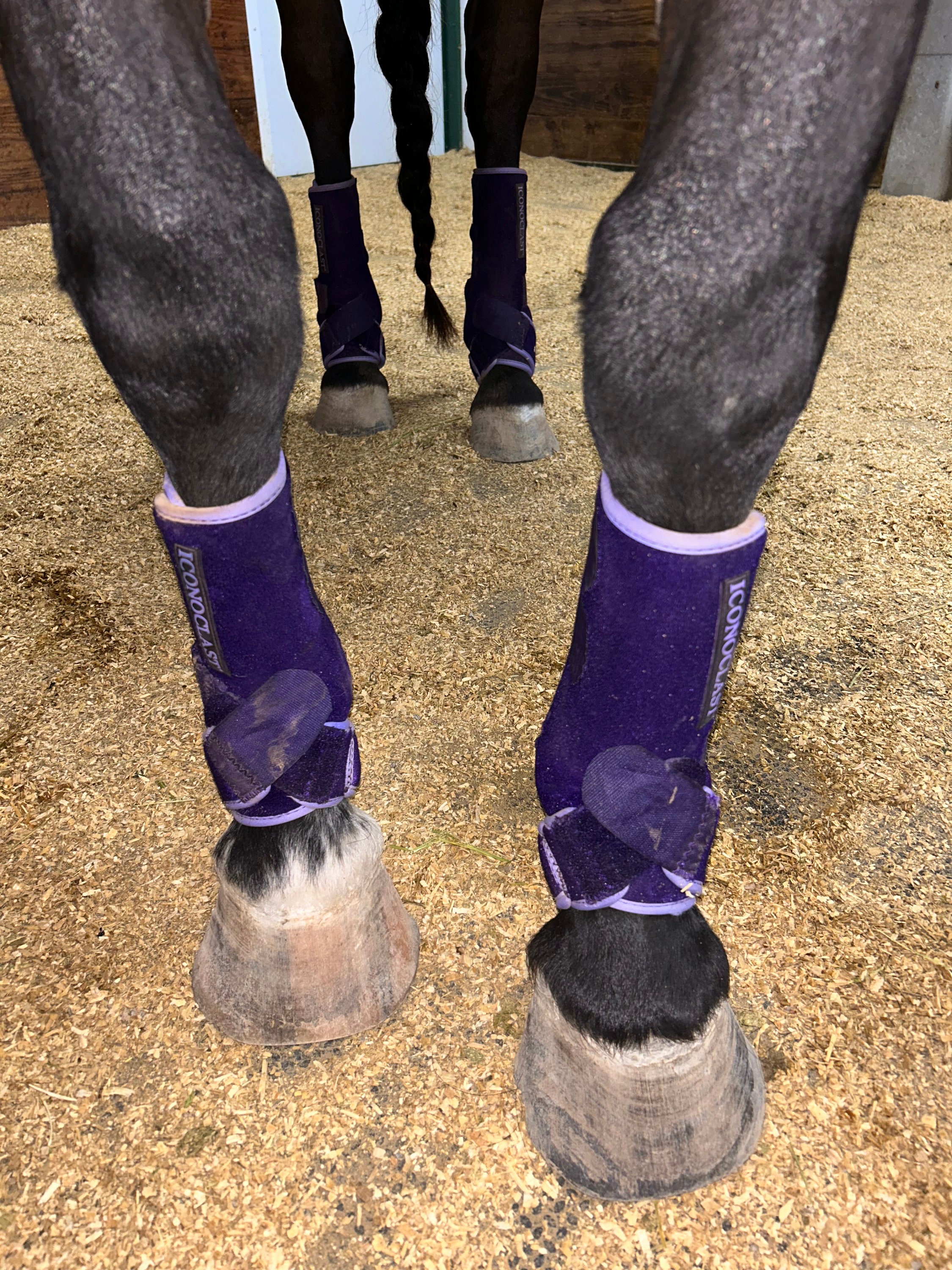 Colorful Iconoclast Set of 4 Support Boots AND Bell Boots - Etsy