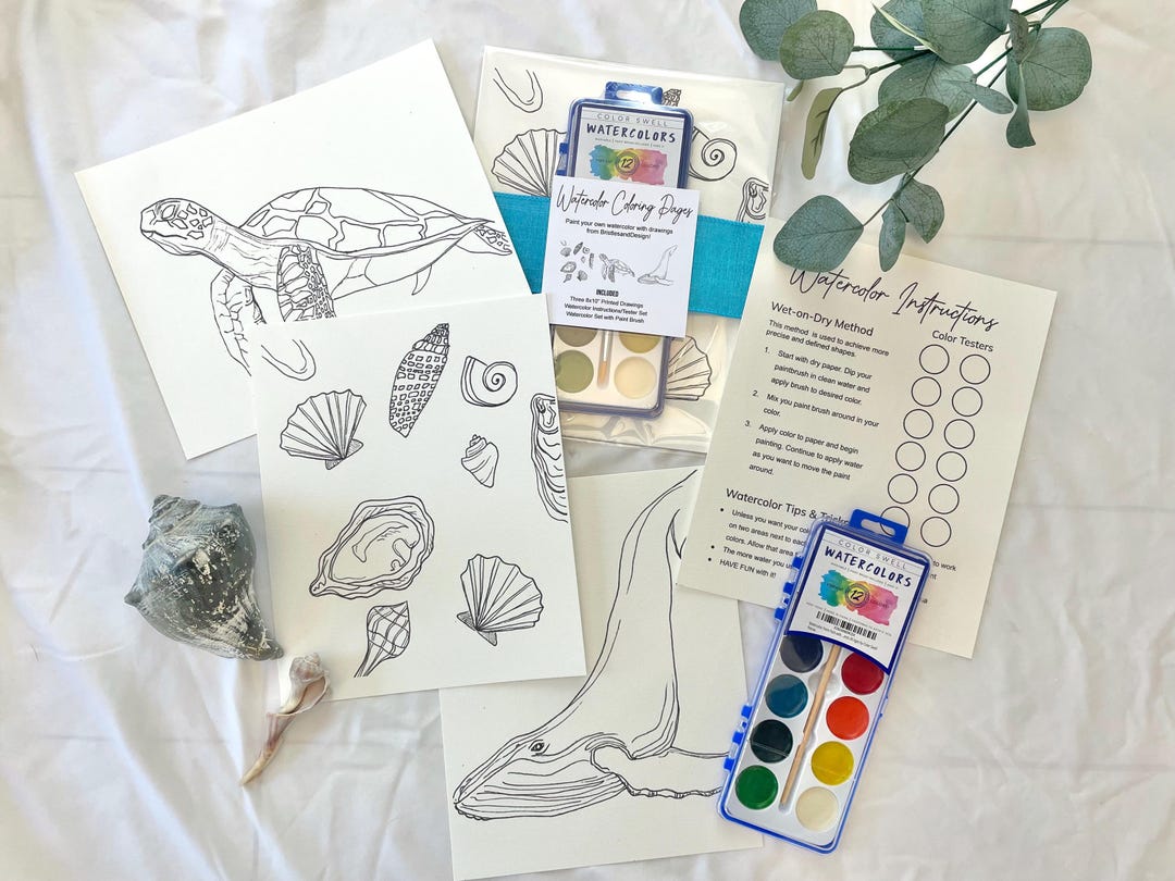 Ocean-themed Watercolor Paint Kit | DIY Art Set for Adults & Beginners ...