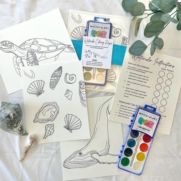 Beginner Art Kits for Adults - Etsy