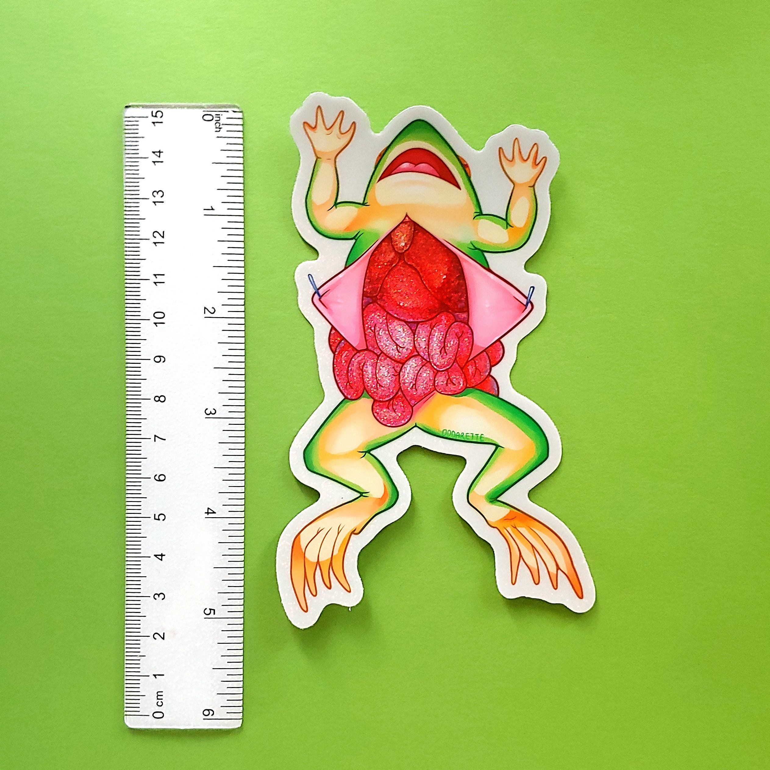 Glitter Frog Anatomy Sticker: Gore Guts Dissection Vinyl Sticker - Etsy