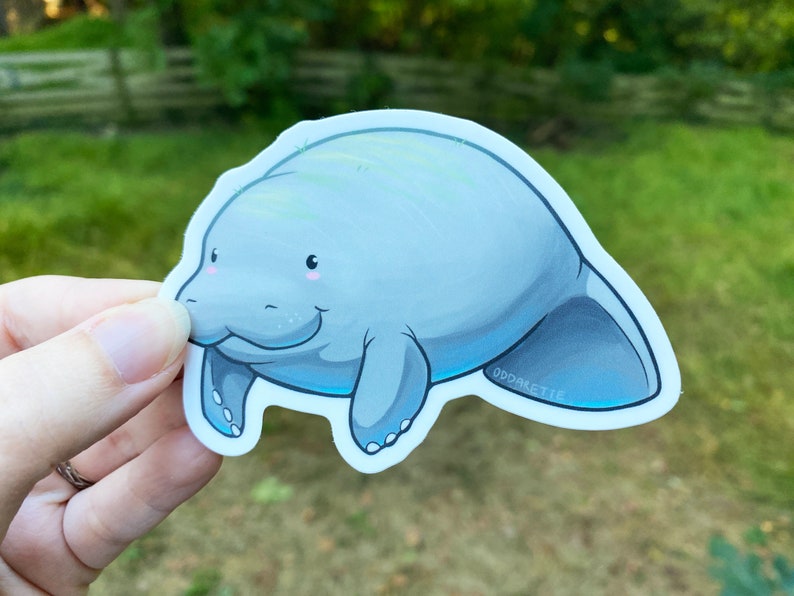 Manatee Stickers Series 2 Five Manatee Stickers Wizard - Etsy