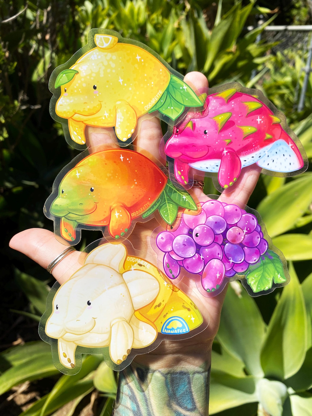 Fruit Manatee Stickers: Waterproof Transparent Art - Human Made - Etsy