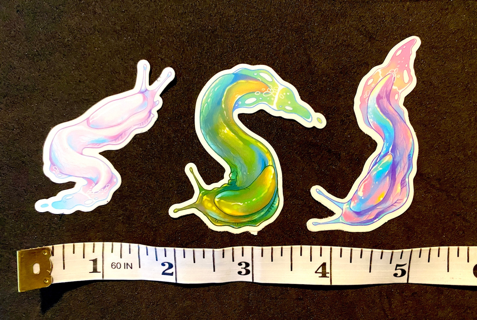 Slug Stickers Transparent Stickers Gastropods Cute Slugs Bug Lovers ...