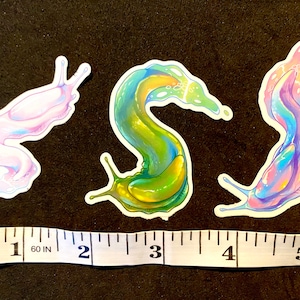 Slug Stickers - Transparent Stickers - Gastropods - Cute Slugs - Bug ...